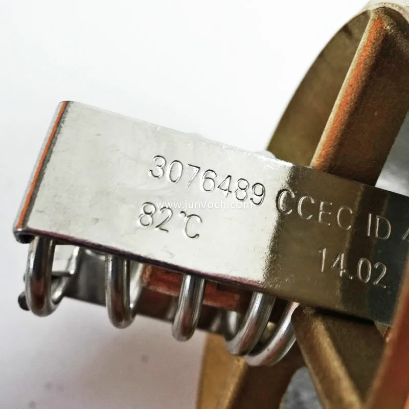 Excavator Parts Kta19 Nt855 Diesel Engine Parts Thermostat 3076489 For ...