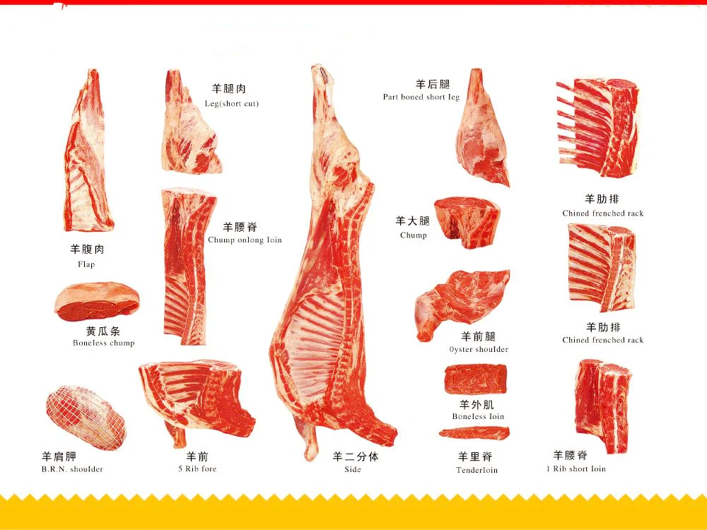 Multifunctional Meat Cutting Machine Conveyor Belt Type Meat Cutting ...