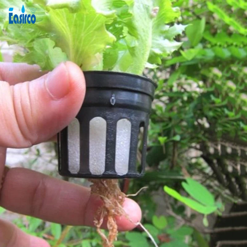 Container Hydroponic Home Hydroponic Dwc Hydroponics Systems 11 Site Of ...