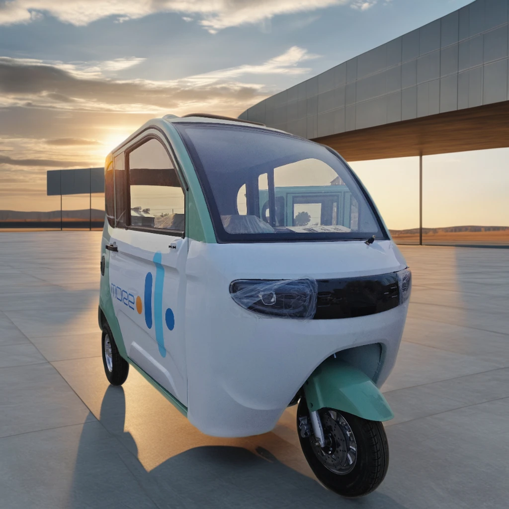 EEC Electric Enclosed Tricycle - Adult Mobility Solution