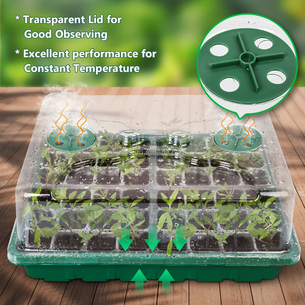 Hydroponic Seedling Box & Clone Tray For Succulent Plants