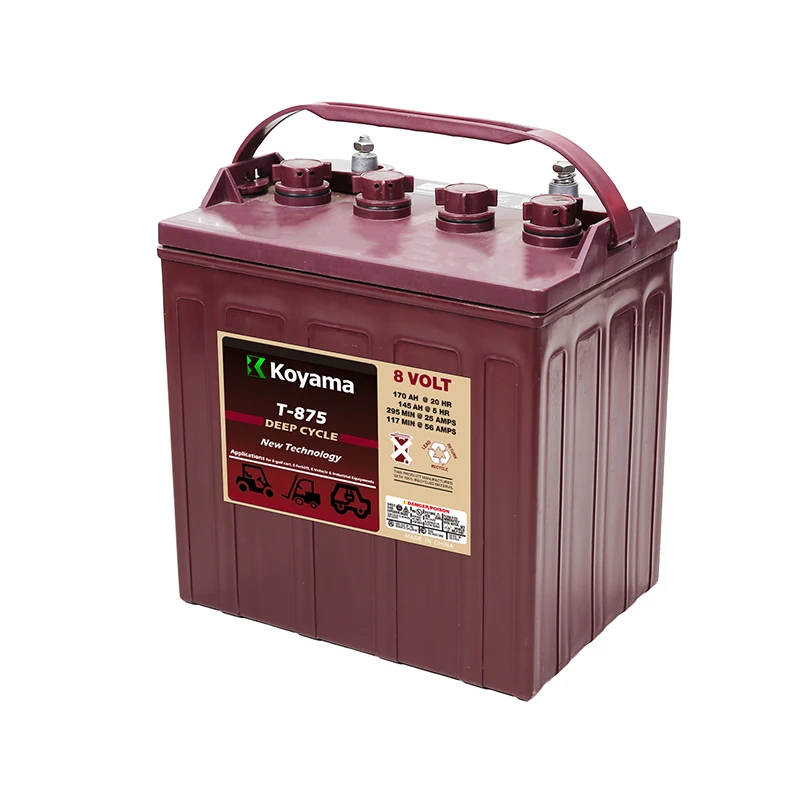 8v170ah Deep Cycle Tubular Battery T-875 Golf Cart Battery - Buy 8 Volt ...