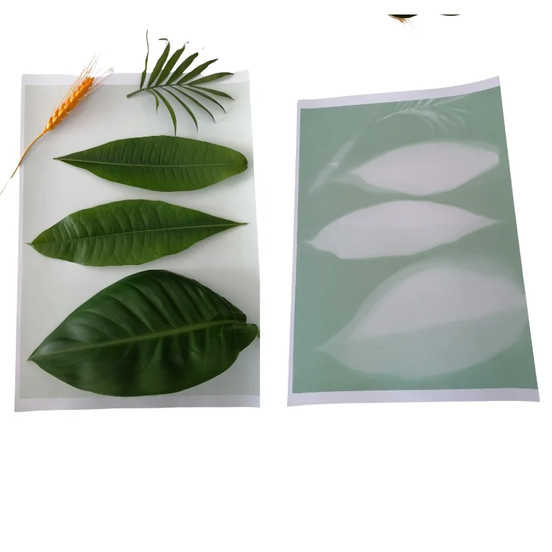 UV Ultraviolet Irreversible Color Change Sticker UV Ultraviolet ...