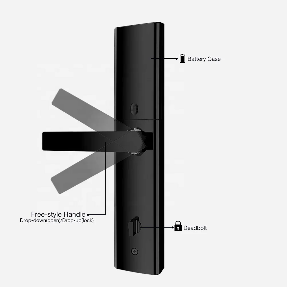 Smart Life Keyless Digital Electronic Biometric Fingerprint Wifi Tuya ...