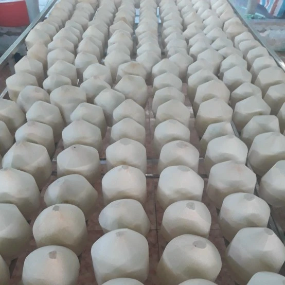 Fresh Young Coconut From Vietnam - Diamond Shape Semi-Husked Variety ...