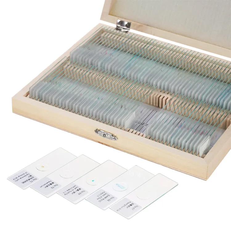 50pcs Wooden Box Set Medical Oral Tooth Histology Human Dental ...