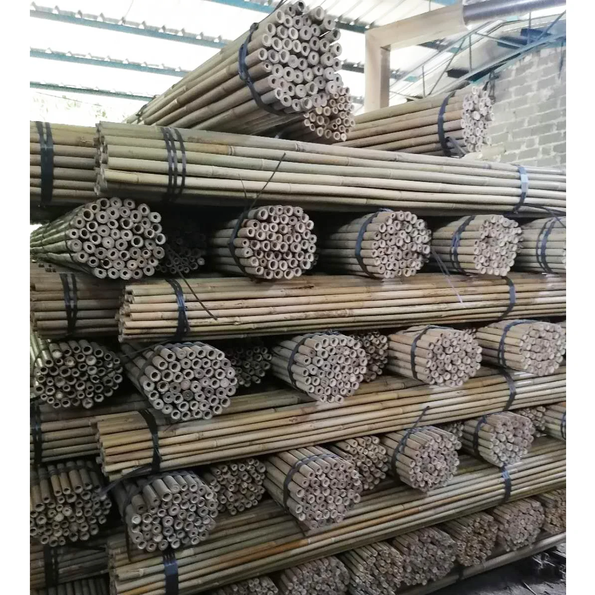 Garden Bamboo Cane - Durable and Versatile Support