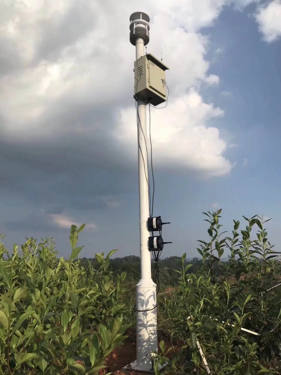 2020 BGT Professional Temperature Humidity Precipitation Measured ...