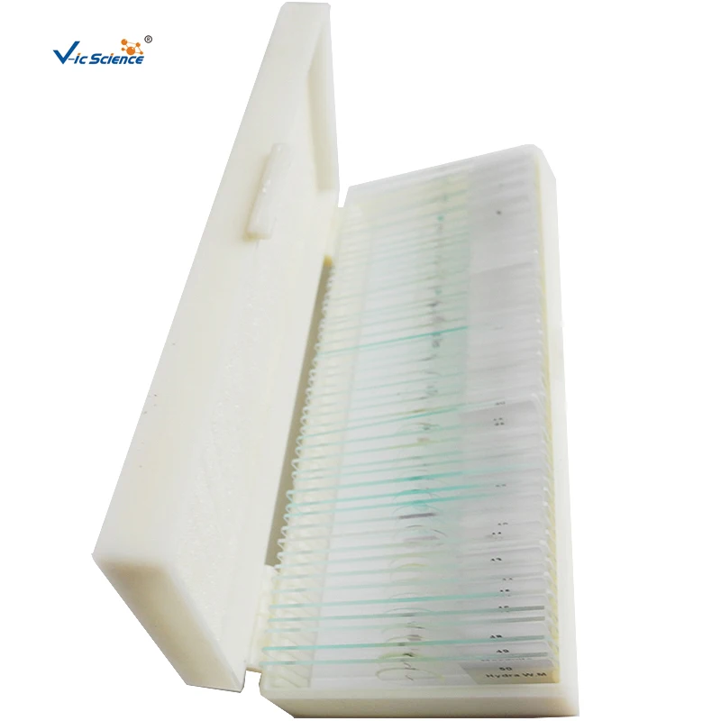 Histology Epithelial Tissue Laboratory Microscope Slides – 50pcs ...