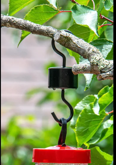 Ant Guard for Hummingbird Feeder - Effective Moat Solutions