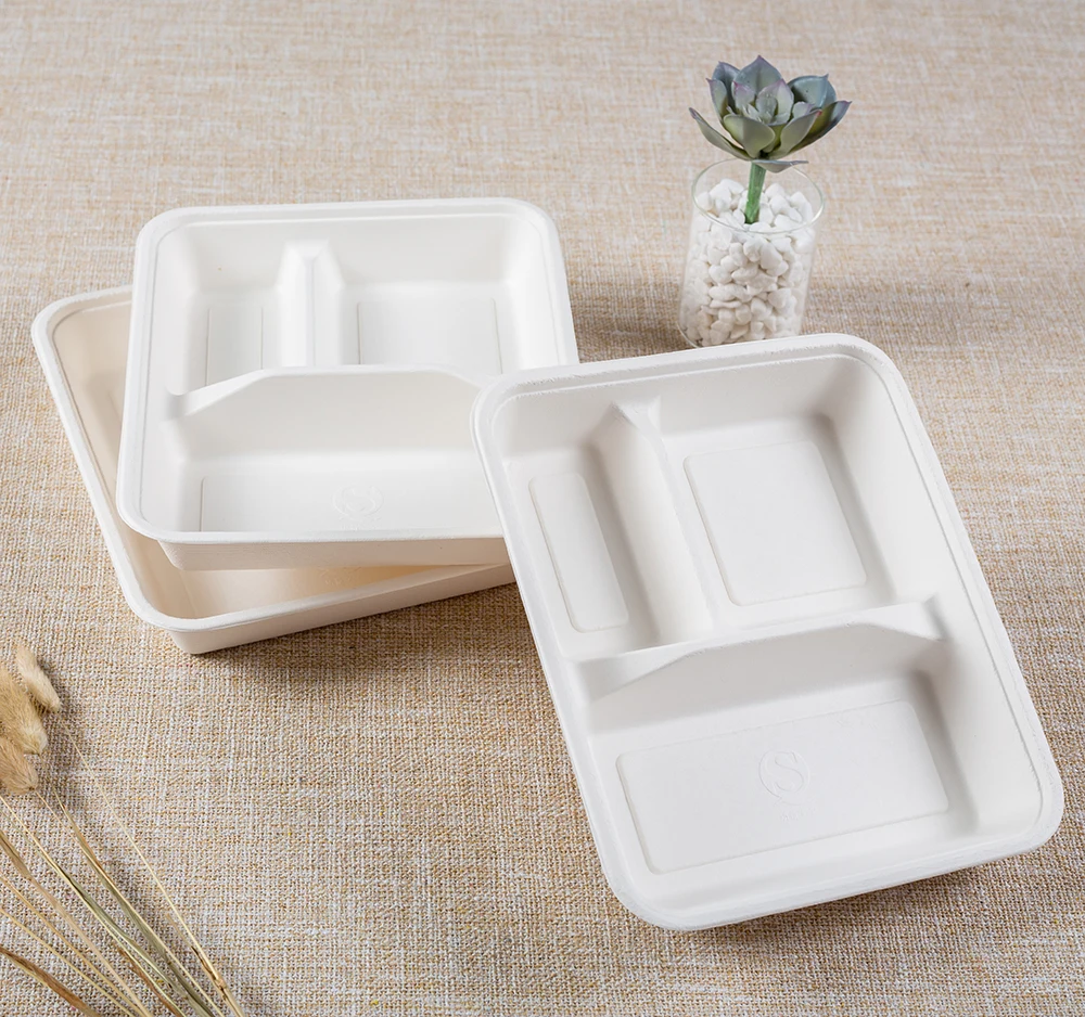 Rectangle Disposable Pulp Paper Food Tray Compostable Party Takeaway ...