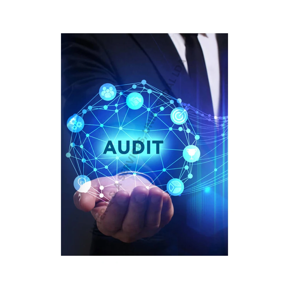 Qualification Risk Assessment Onsite Factory Audit Service Supplier ...