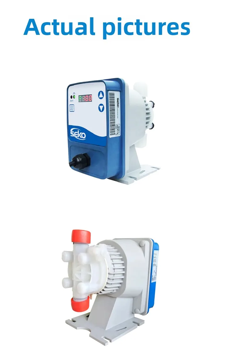 Seko Saigao DMS200 Metering Pump - Corrosion Resistant