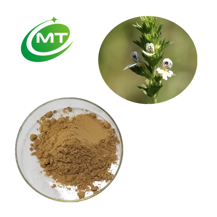 100% Pure Natural Organic Hot Sale Eyebright Herb Extract Powder - Buy ...