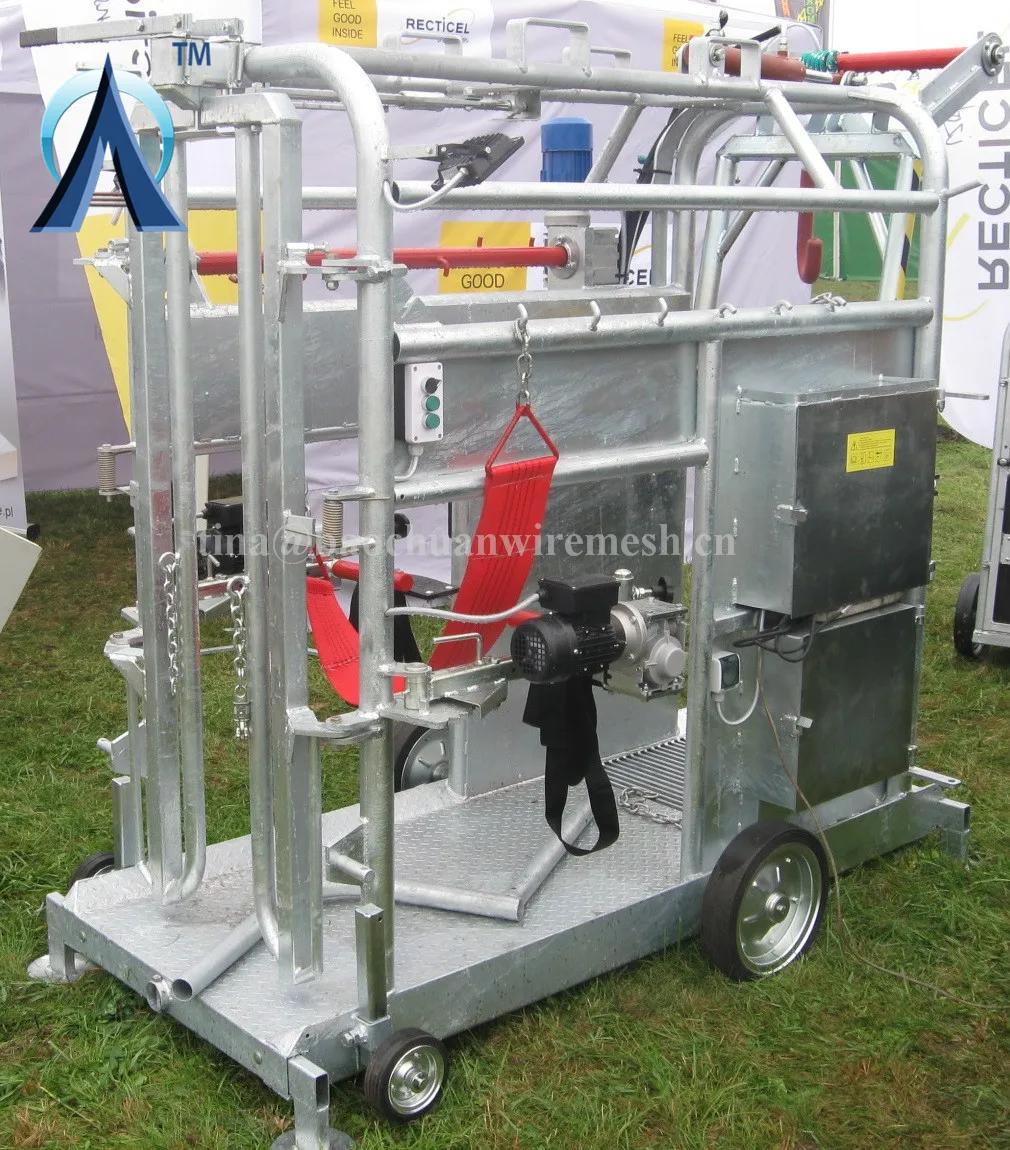 Electric Cattle Hoof Trimming - Buy Cattle Crush,Cattle Hoof Trimming ...