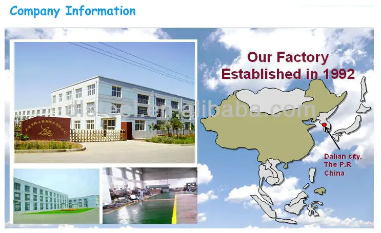 Toluene Stainless Steel IBC Tank - 500L to 5000L Capacity