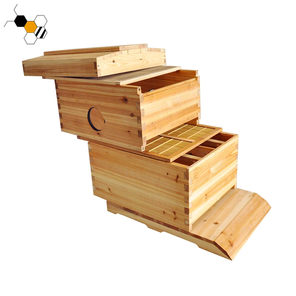 Hive For Bees Golden Palace Automatic Flows Hive 2 Beehive 7pcs Super ...