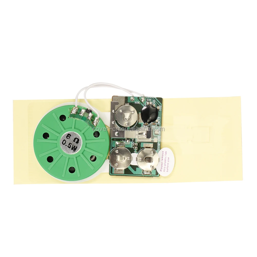 Custom Downloadable Audio Pre-recorded Messages Voice Program Usb ...