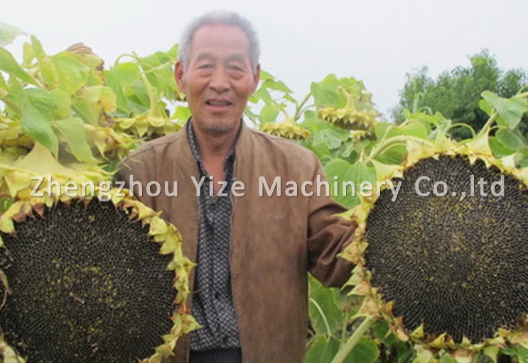 Sunflower Seed Shelling Hulling Threshing Machine - High Productivity
