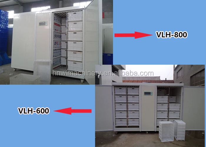 Bean Sprout Machine - Automatic Germination Equipment