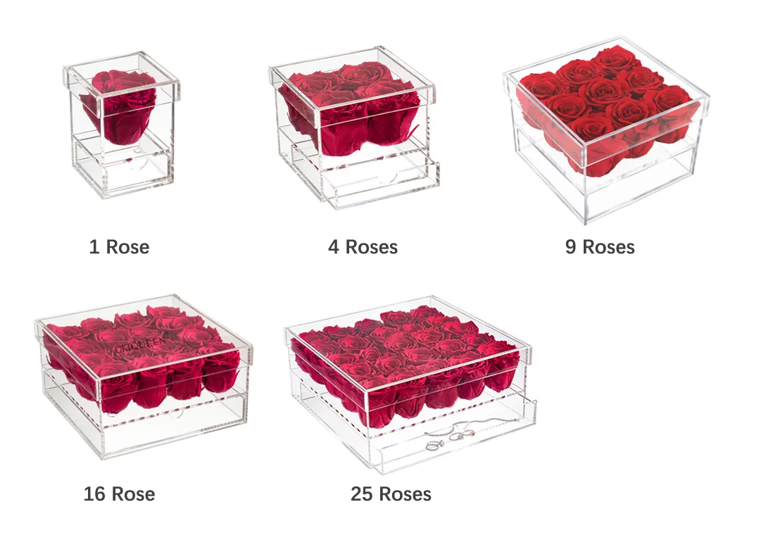 Ukiqueen Culinan Eternal Rose Everlasting Long Lasting Preserved Rose ...