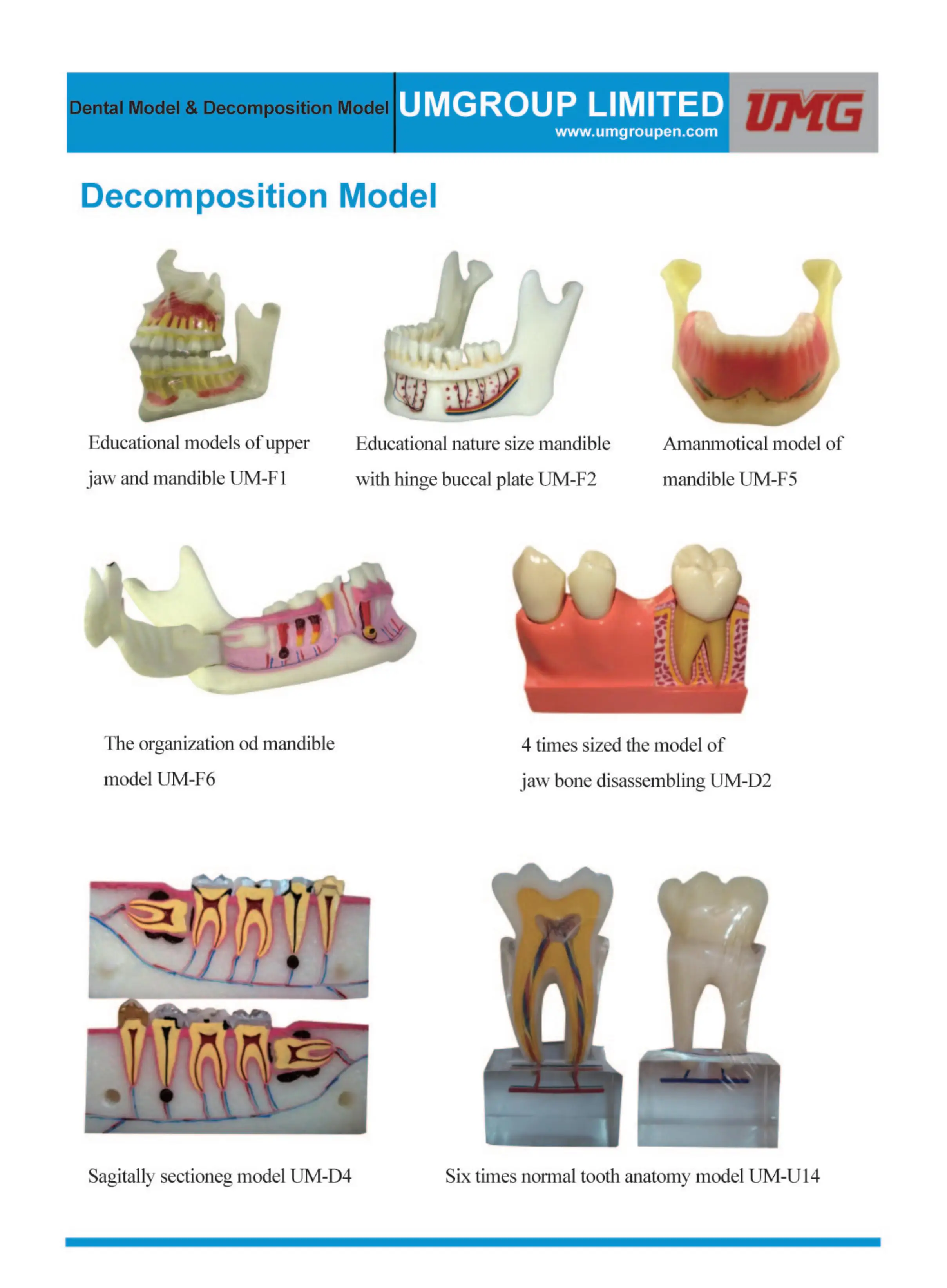 2021 Wax Occlusion Rim Dental Wax Model Without Teeth - Buy Dental Wax ...