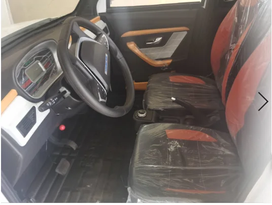 2022 Changli Explorer - Electric 4 Wheel Car for Passengers