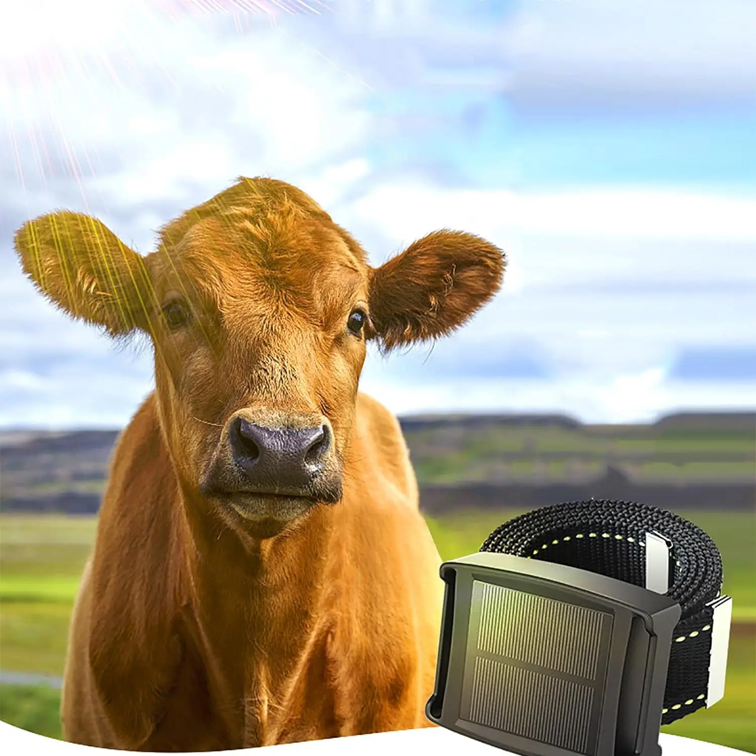 Animal Gps Locator Solar Pet Tracker Real-time Positioning Historical ...