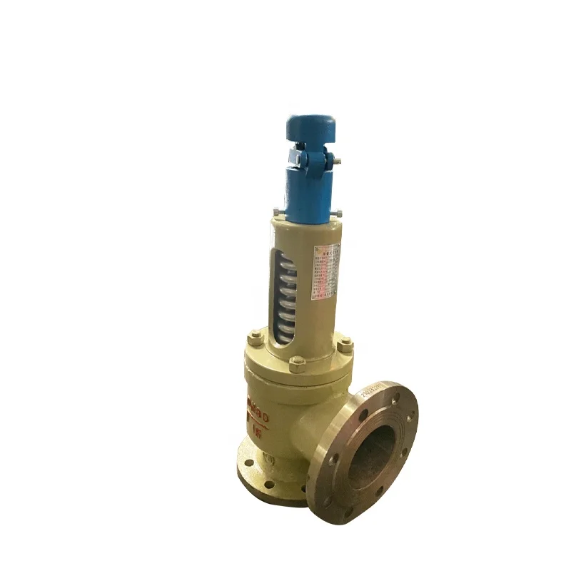 DKV A48Y Pressure Relief Valve - Carbon Steel & Spring Loaded