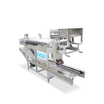Rice Fresh Noodle Folding Machine/commercial Pasta Extruder Machine/cup ...