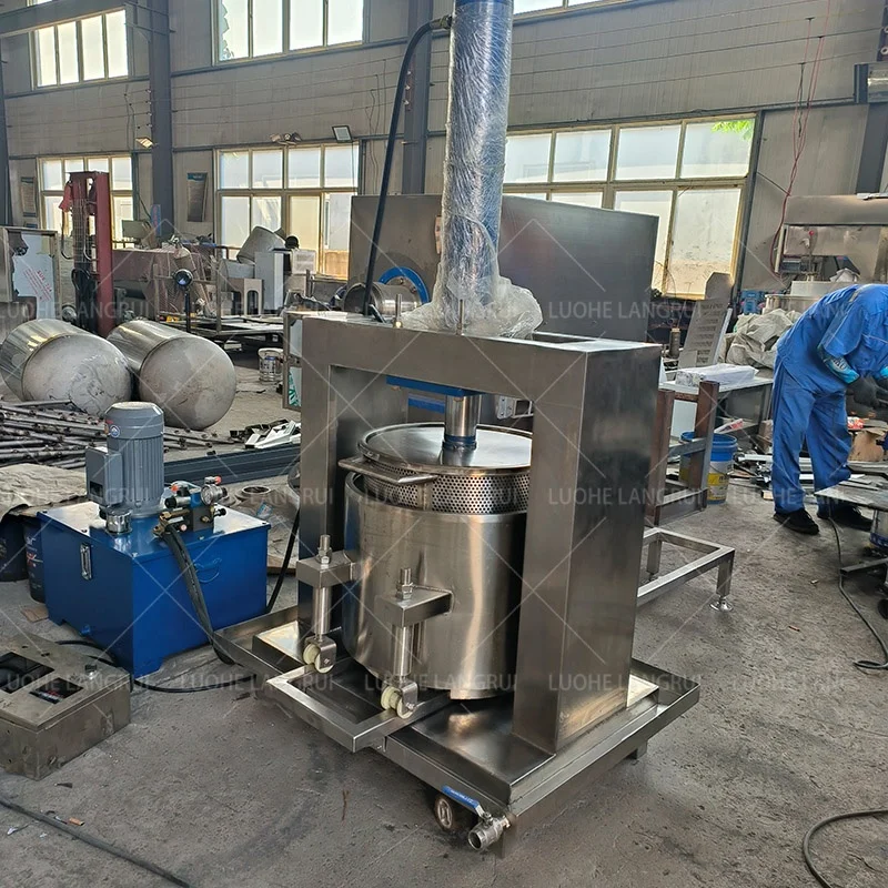 Lemon Squeezer Hydraulic Cold Press Juicer - Efficient Juicing