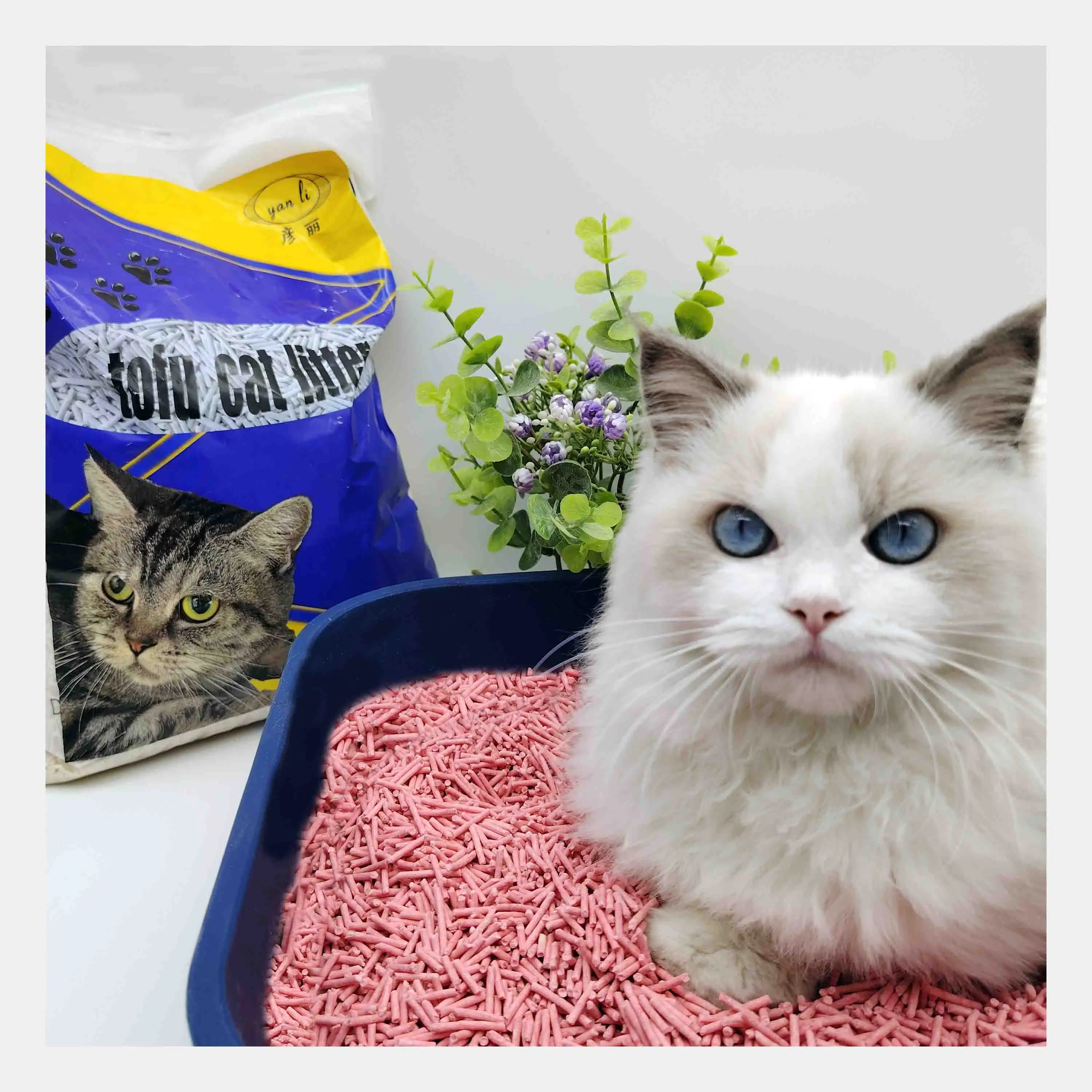 Factory Direct Premium Bentonite Cat Litter 1.5mm High Absorption Low ...