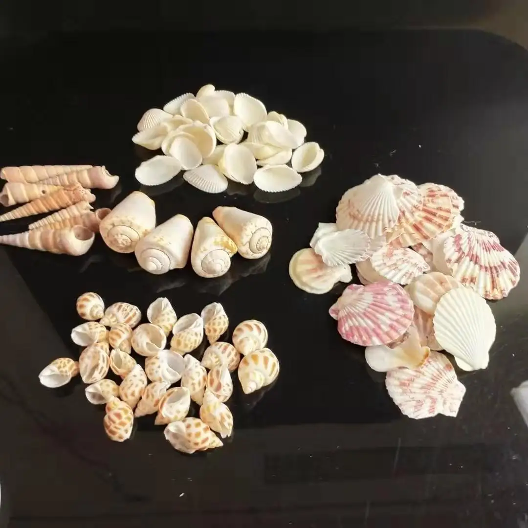 Round Natural Capiz Seashells White Color Capiz Shell For Diy - Buy ...
