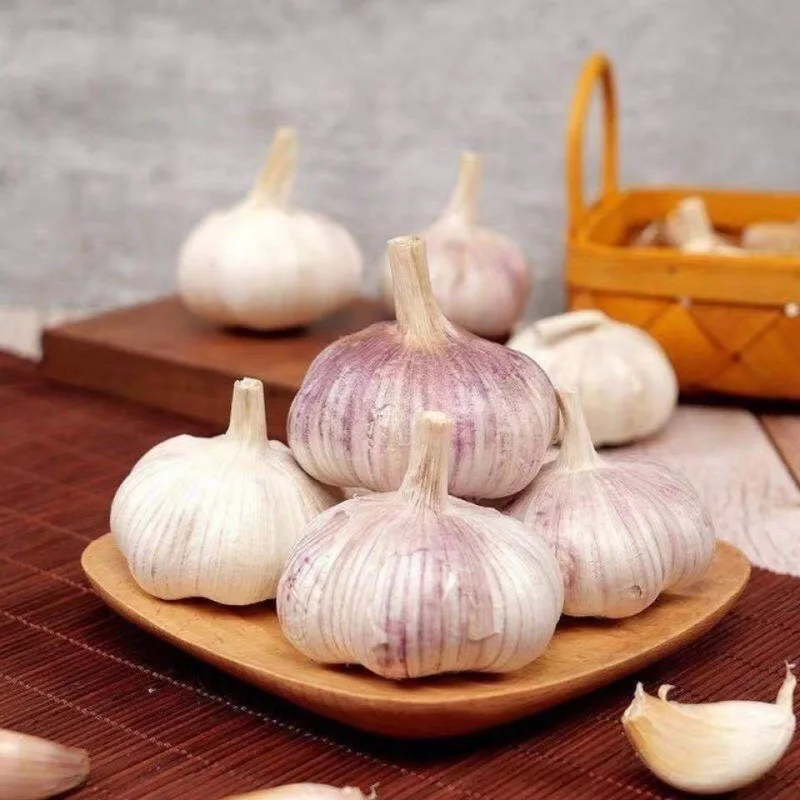 Garlic Chinese Fresh Pure White Garlic For Wholesale Fresh Vegetables ...