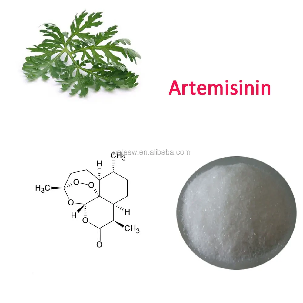 High Purity Artemisinin 99% Artemisia Annua Extract Cas No.: 63968-64-9 ...