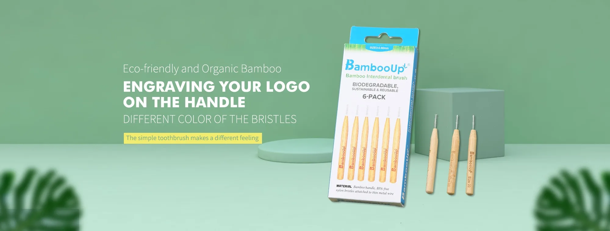 Pesitro Healthcare Products Co., Ltd. - Toothbrush, Interdental Brush