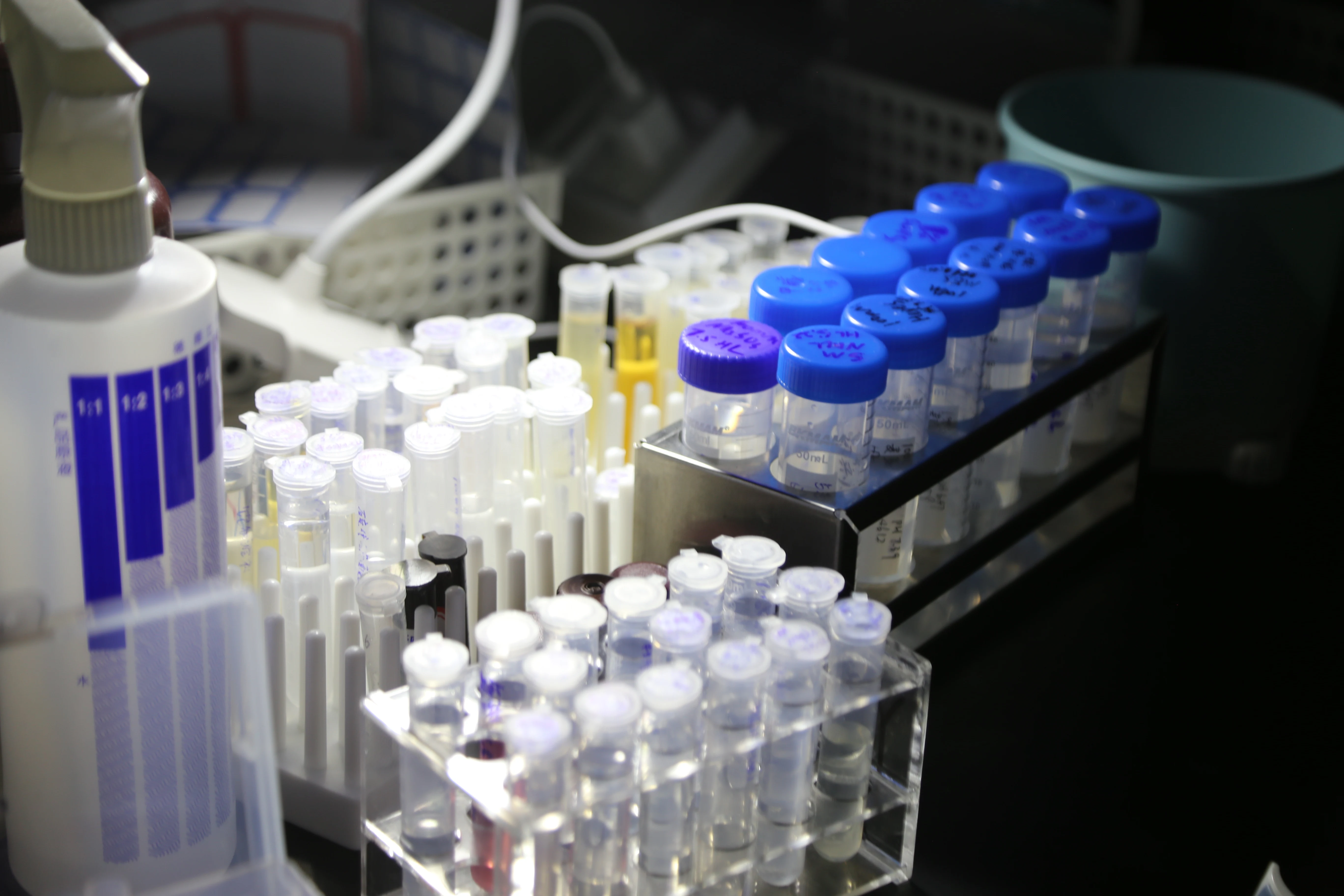 Plant Dna Extraction Kit High Purity Total Dna Isolation Spin Column ...