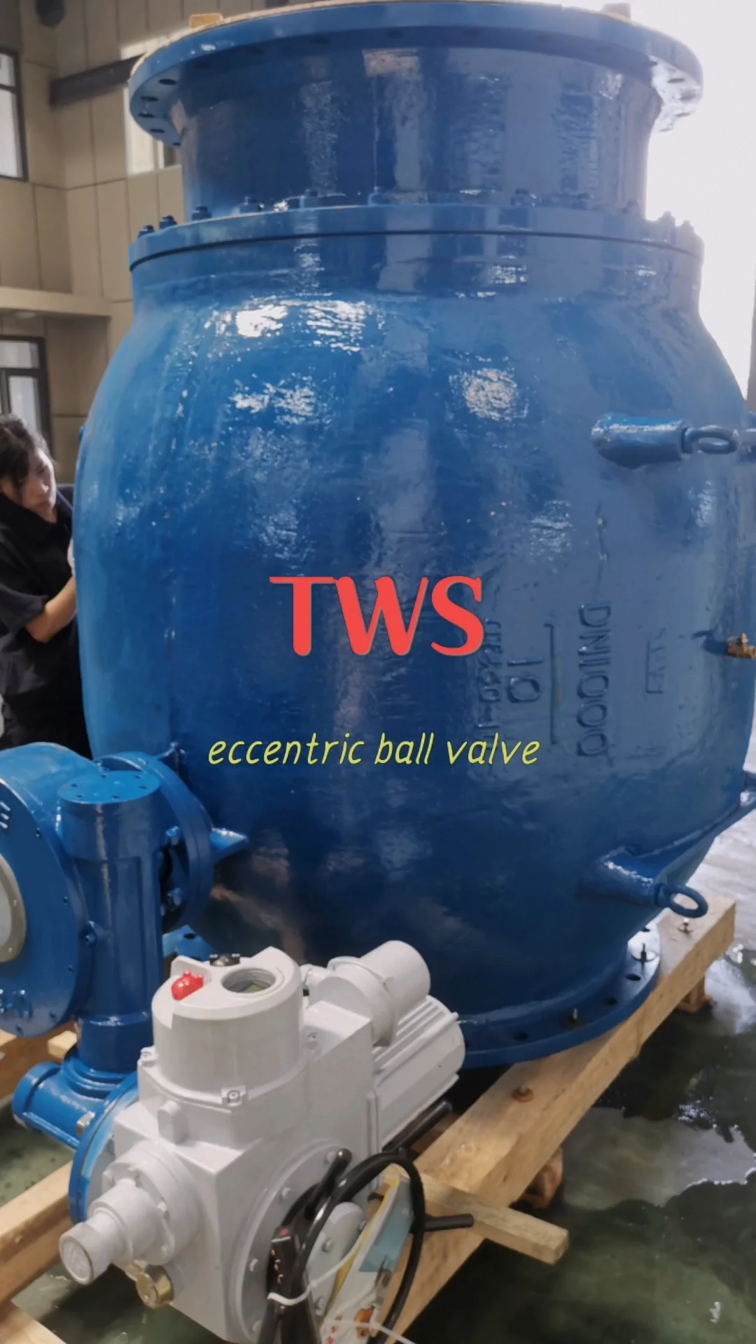 Eccentric Hemispherical Valve Dn800 Pn10 - Buy Eccentric Valve flow ...