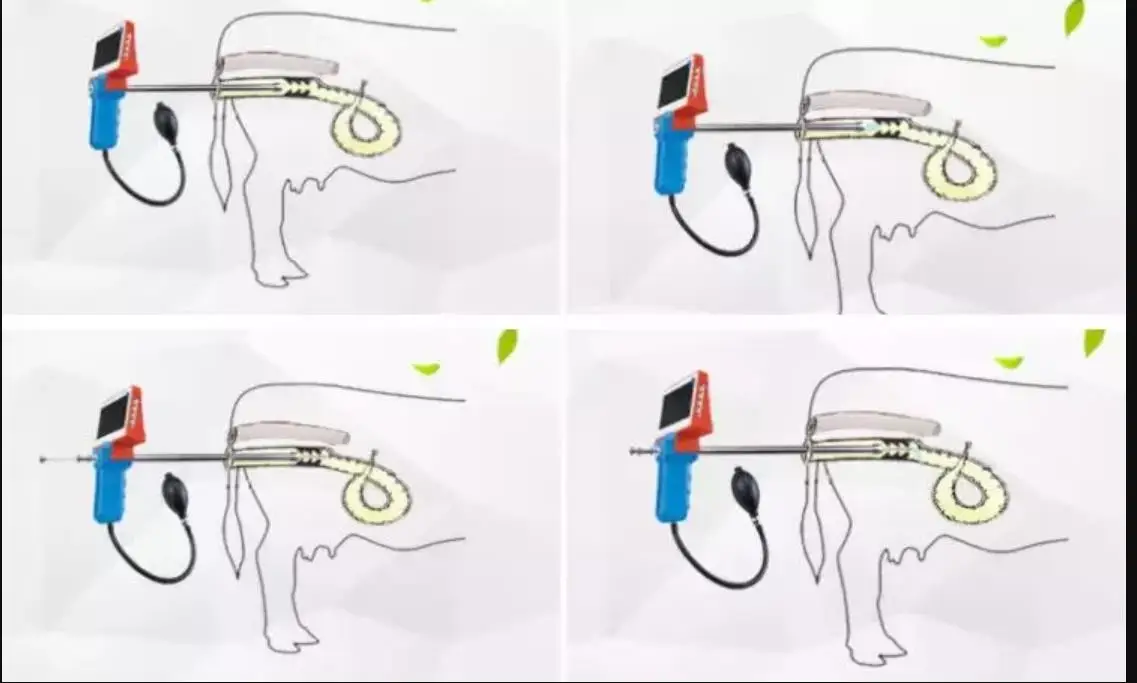 VS-V023 Video Cattle AI Gun - Precision for Artificial Insemination
