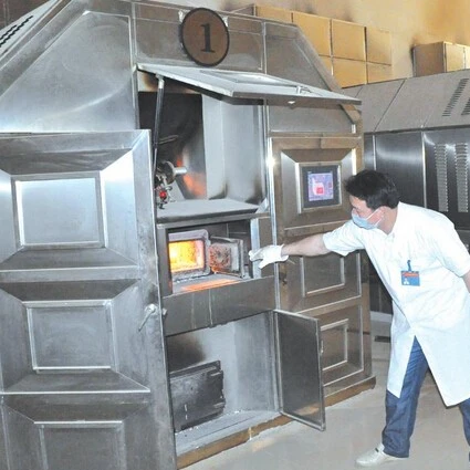 THR-110 Crematorium Incinerator - Efficient & No Smoke