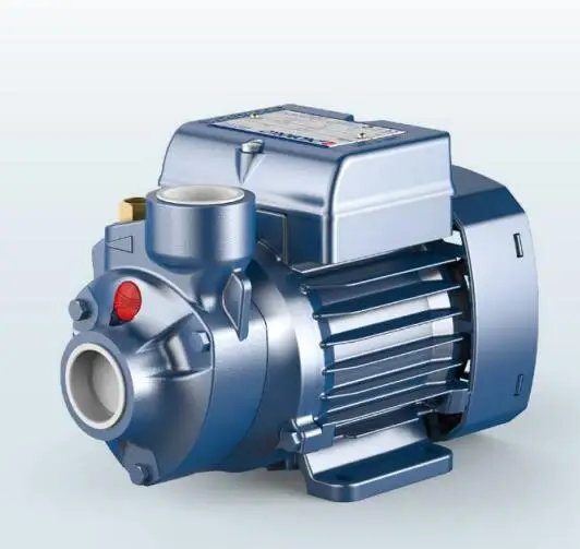 PEDROLO Pedro Water Pump PKM60 - High Efficiency Solutions