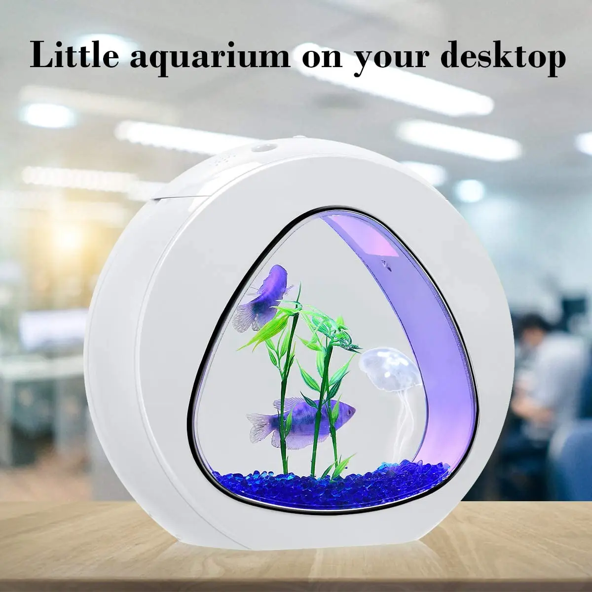 1 Gallon Aquarium Betta Fish Tank with LED Light and Power Filter ...
