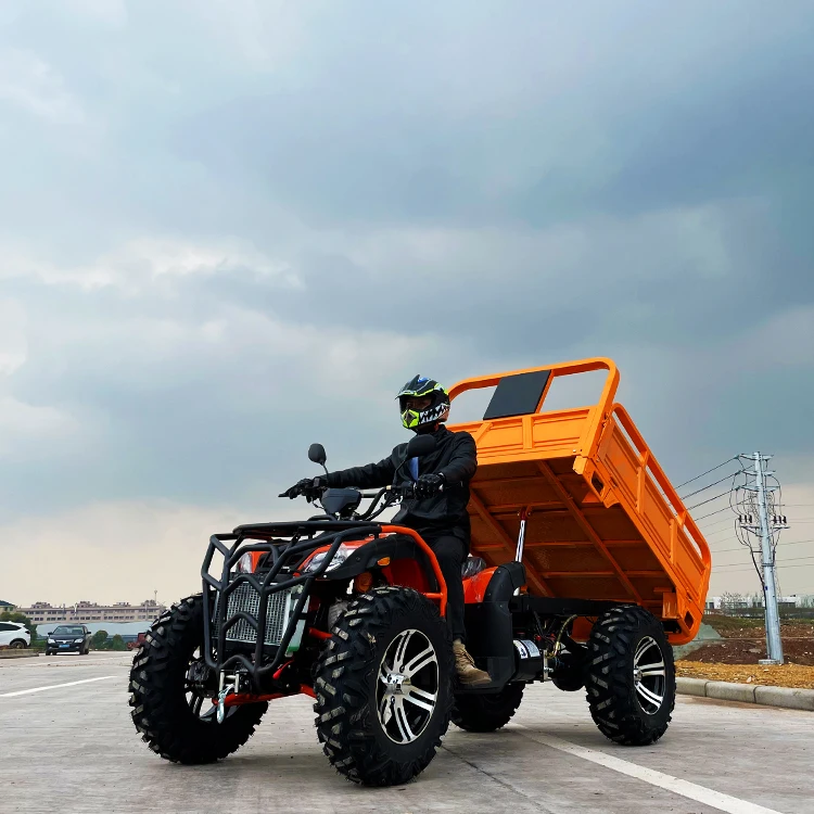 Mini Truck Farm ATV Utility ATV 300cc 350cc - Versatile & Efficient