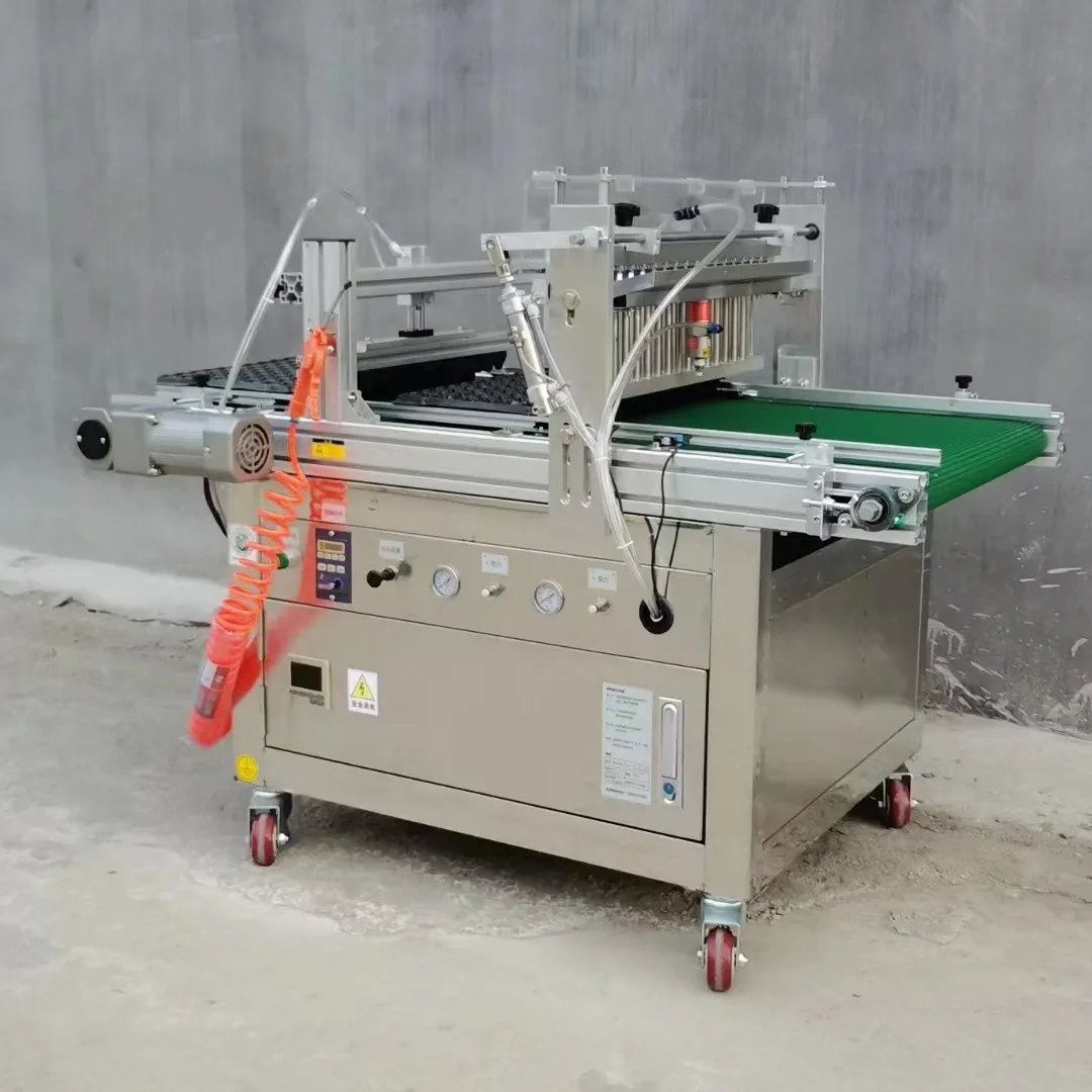 Tray Seeding Machine - Efficient and Precise Sowing