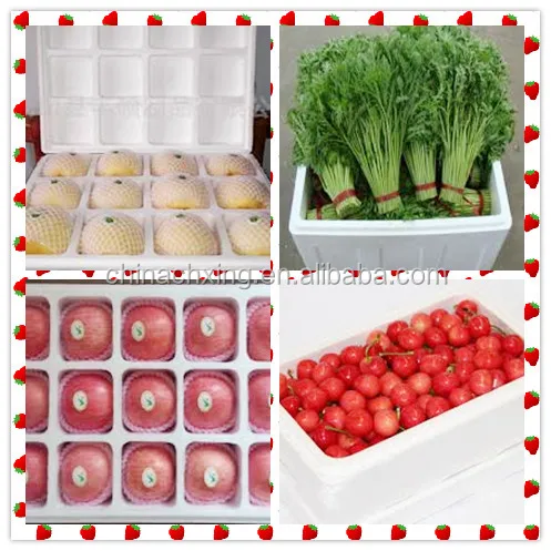 Large Polystyrene Fish Box - Styrofoam Cooler with Factory Price