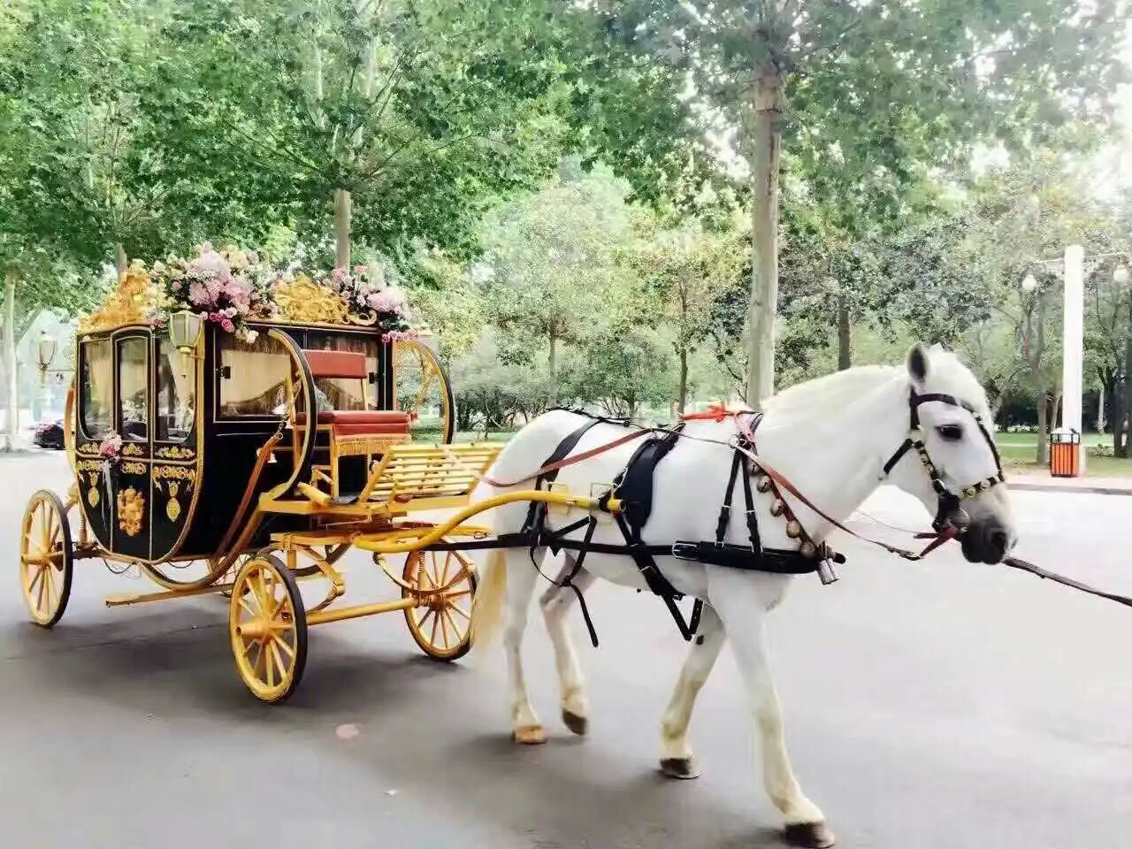 Limousine Elegant Wedding Electric Sightseeing White Horse Carriage ...