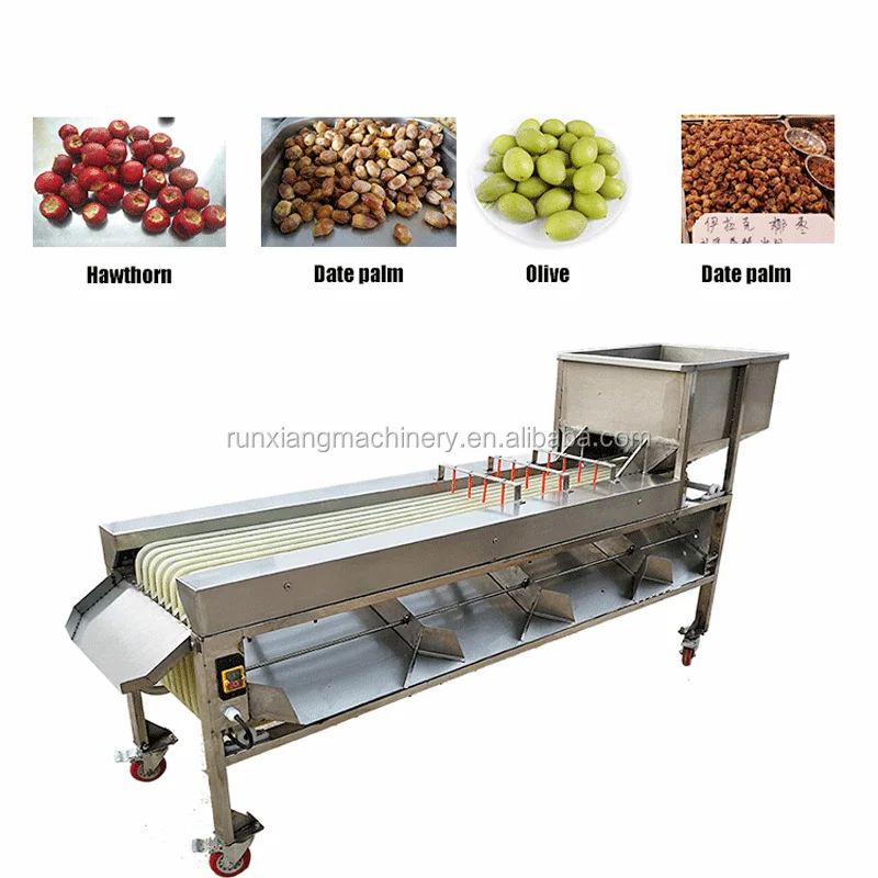 Fruit And Vegetable Sorting And Grading Machine,Products Sizer,Fruit ...