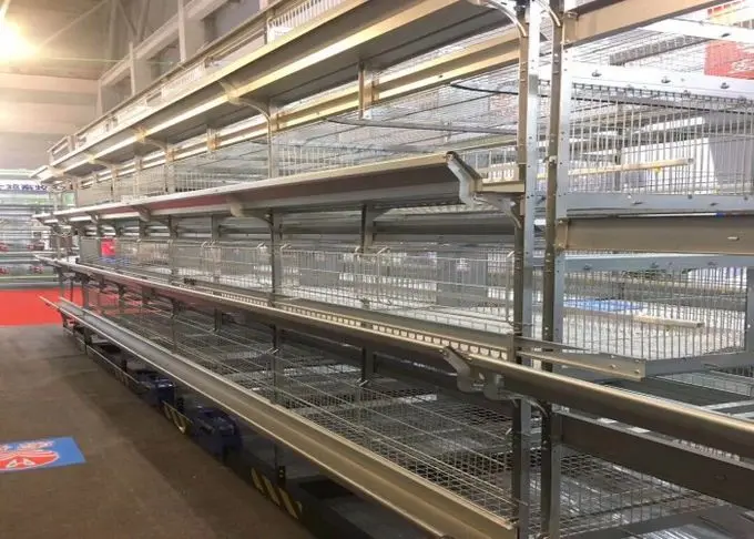 Industrial Layer Broiler Chicken Cage Farming Conventional Cages for ...