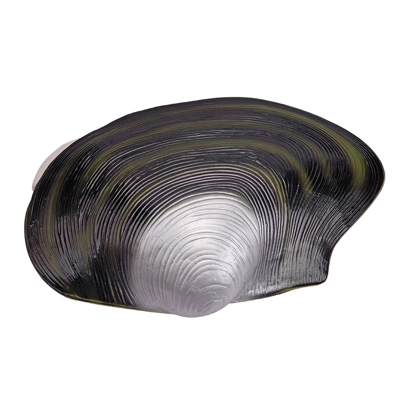 Biological Anatomy Structure - Freshwater Mussel Model