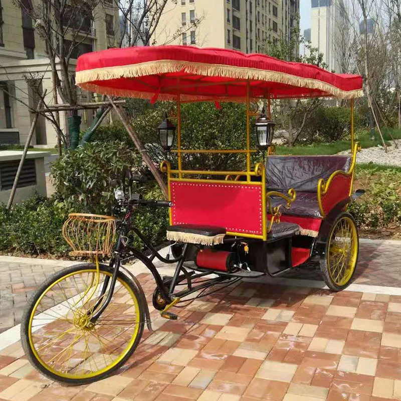 China Direct Manufacturer Pedal Assist Electric Rickshaw - Buy Electric ...
